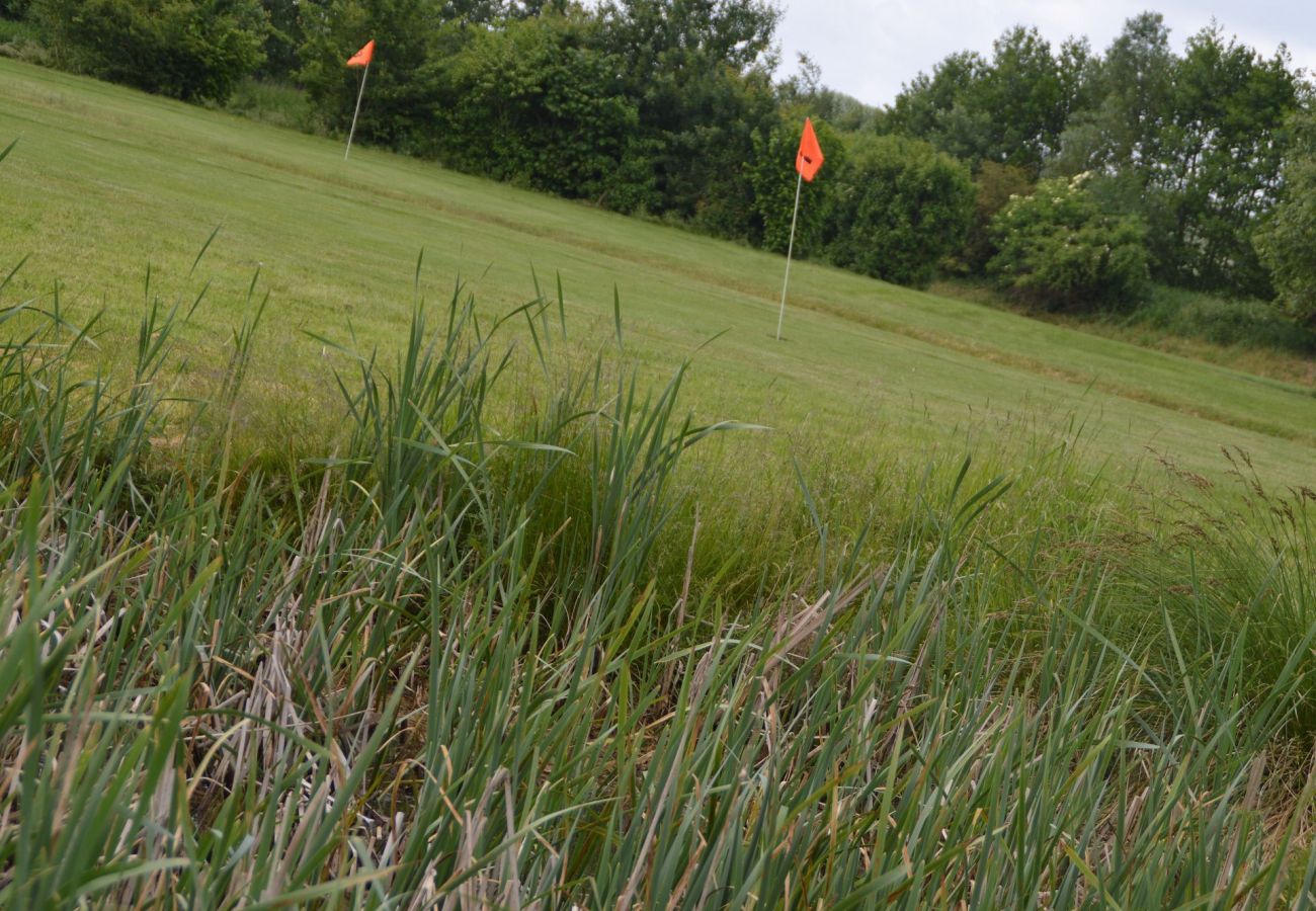 Swingolf spielen gehen in Bergrade